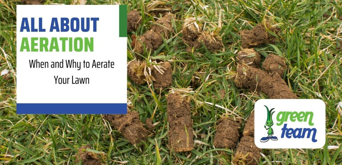 All About Aeration: When and Why to Aerate Your Lawn - Green Team