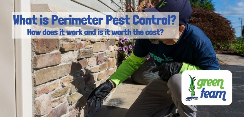 What is Perimeter Pest Control for a home and is it worth the cost ...